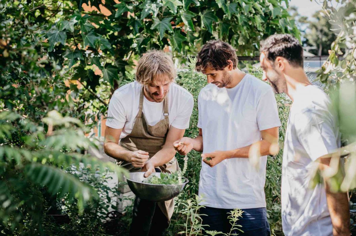 Gallery - Three Blue Ducks