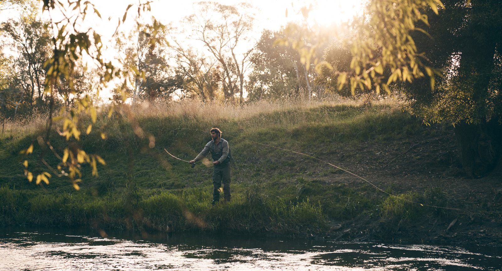 Three Blue Ducks Nimbo