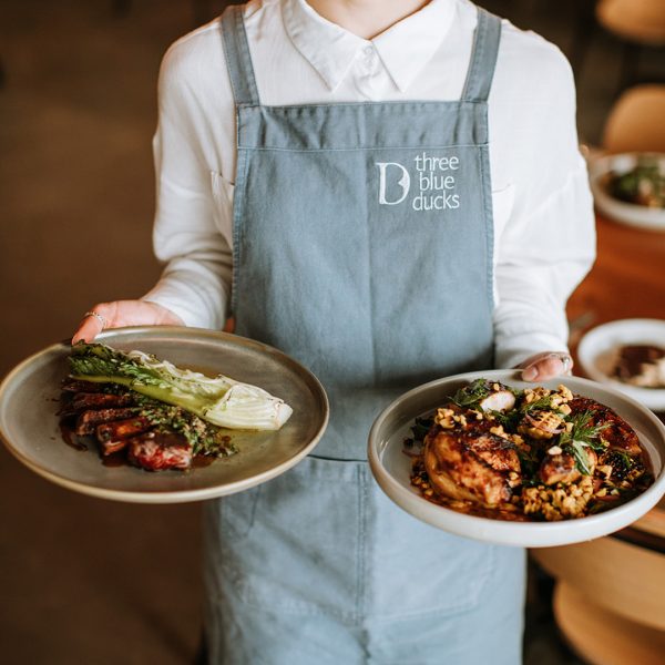 Ducks Uniform Guidelines - Three Blue Ducks