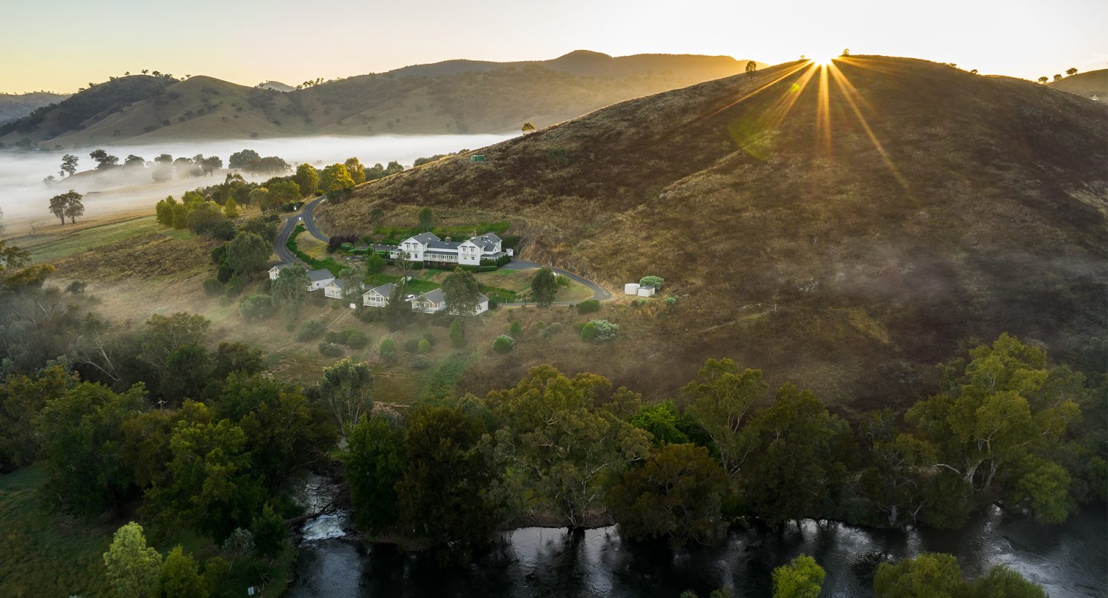 Three Blue Ducks Nimbo