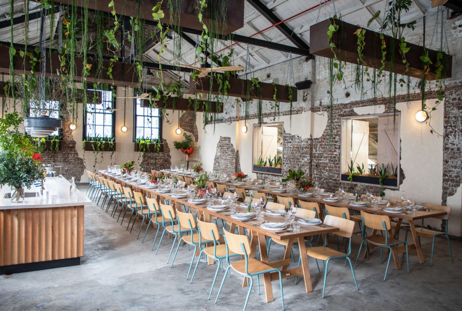 Three Blue Ducks Rosebery