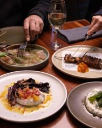 Three Blue Ducks Rosebery